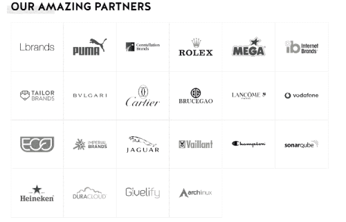 How To Spot Web Design Scam: Catapult Creative Media Inc.