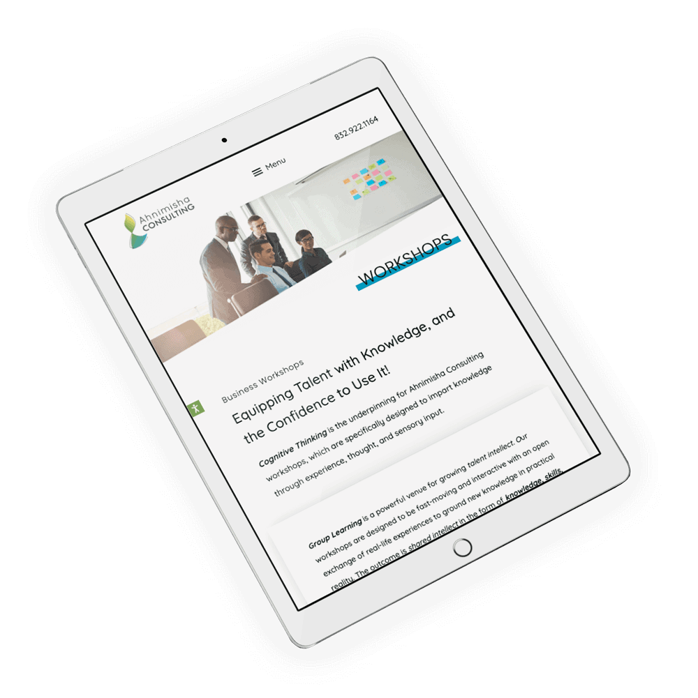 Ahnimisha Consulting - Catapult Creative Media Inc.